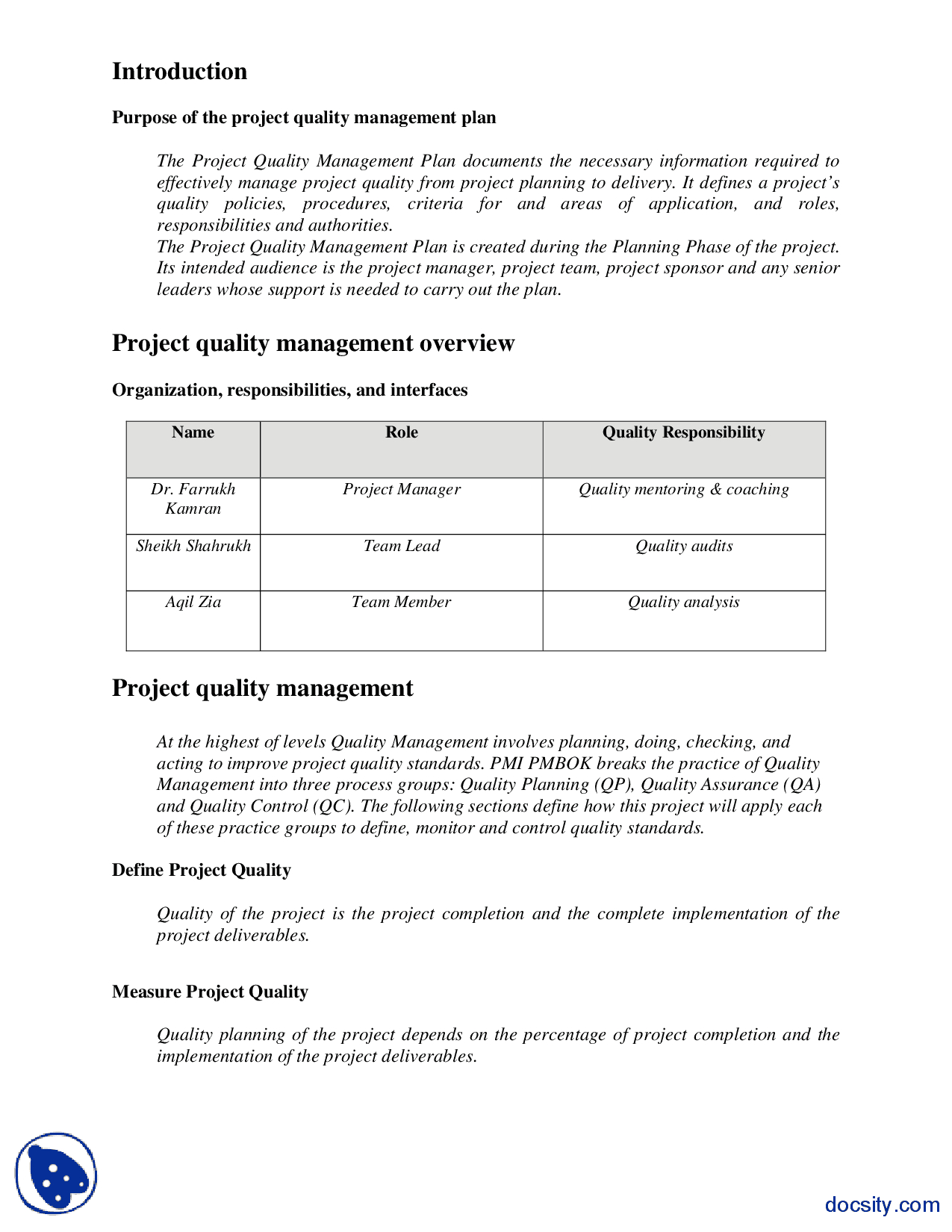 Project Management Plan Templates Example Of Spreadshee Project Management Plan Example Pdf 