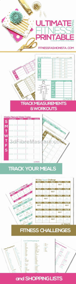 12 Week Year Spreadsheet Payment Spreadshee 12 Week Year Spreadsheet 