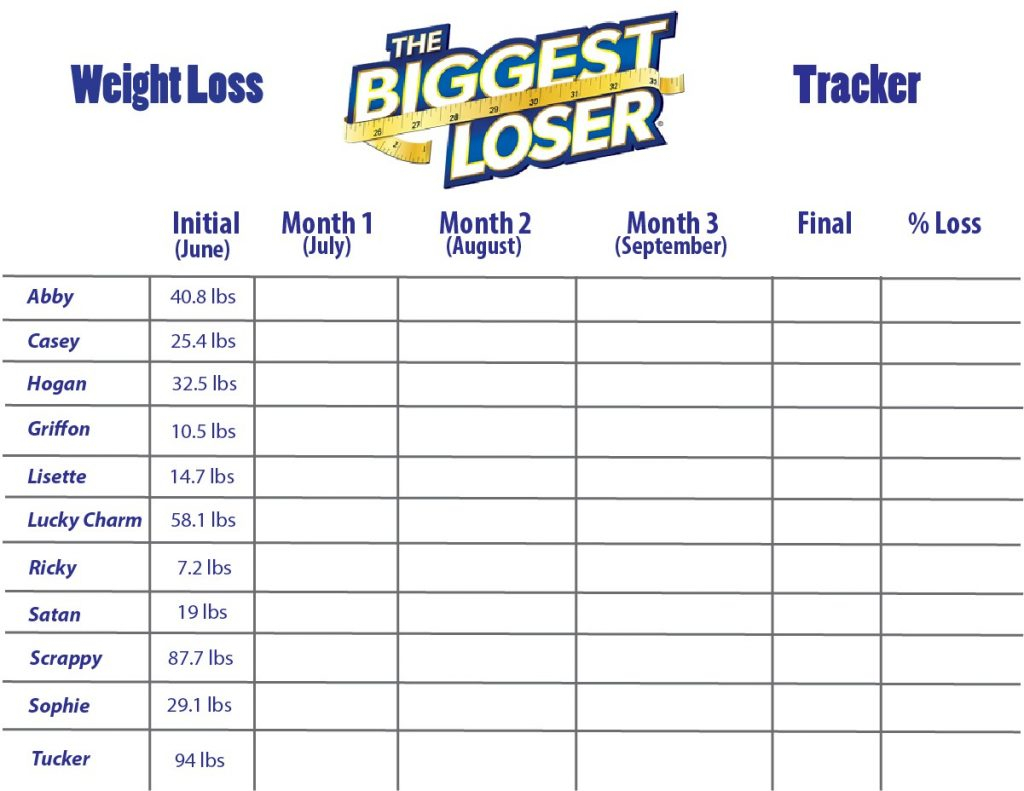 Biggest Loser Spreadsheet Printable Spreadshee Biggest Loser 