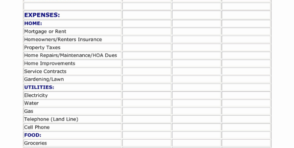 Family Reunion Expense Spreadsheet Spreadsheet Downloa Family Reunion 