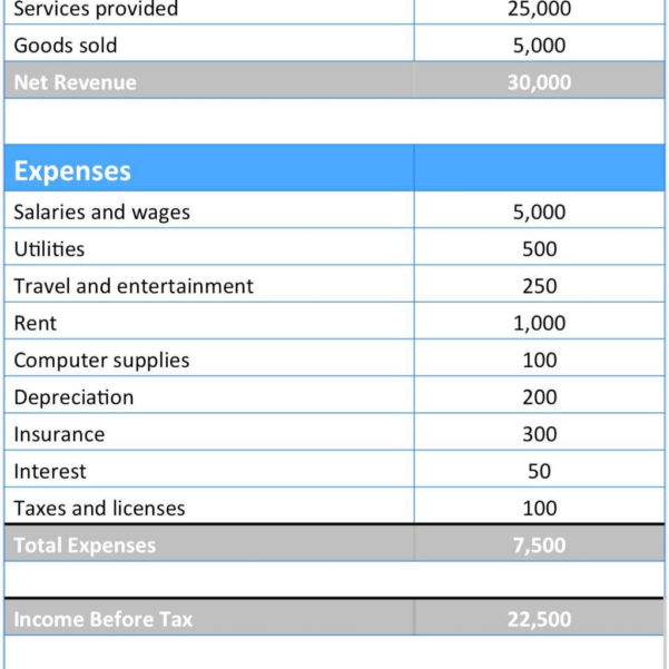 16+ Income Statement Format Pdf | and Income Statement Template In ...