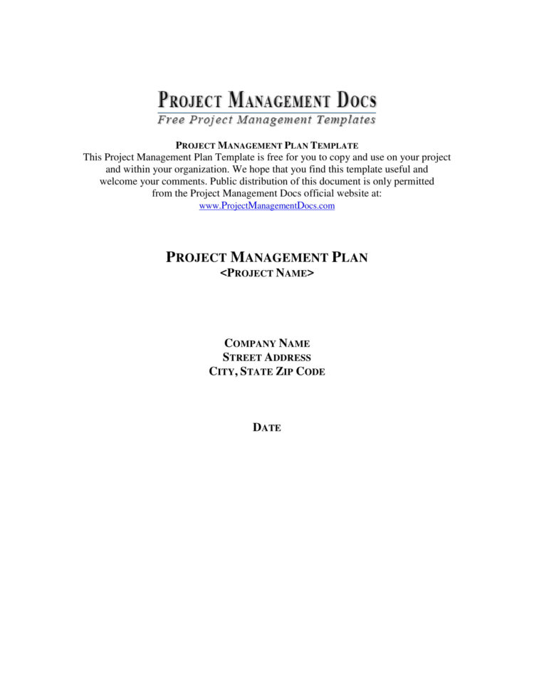 9+ Project Management Plan Template Examples - Pdf within Project ...