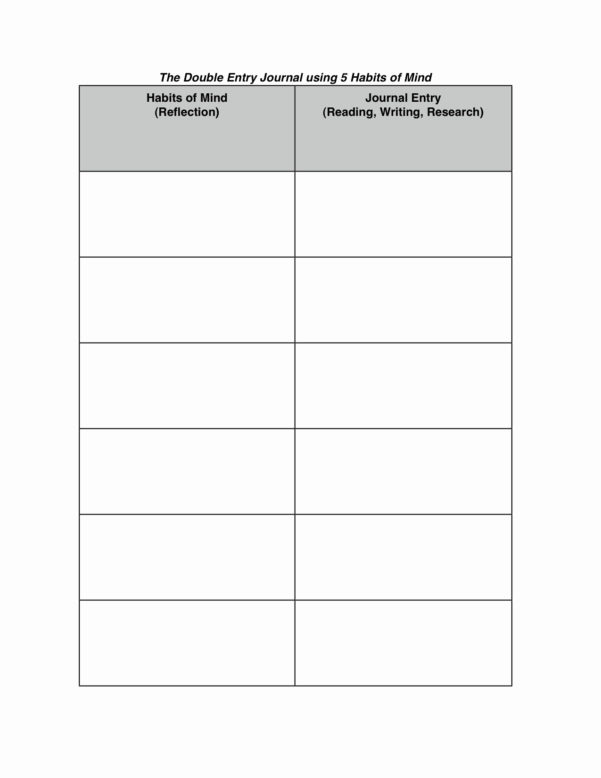 Double Entry Accounting Template Fresh Double Entry Journal Template ...