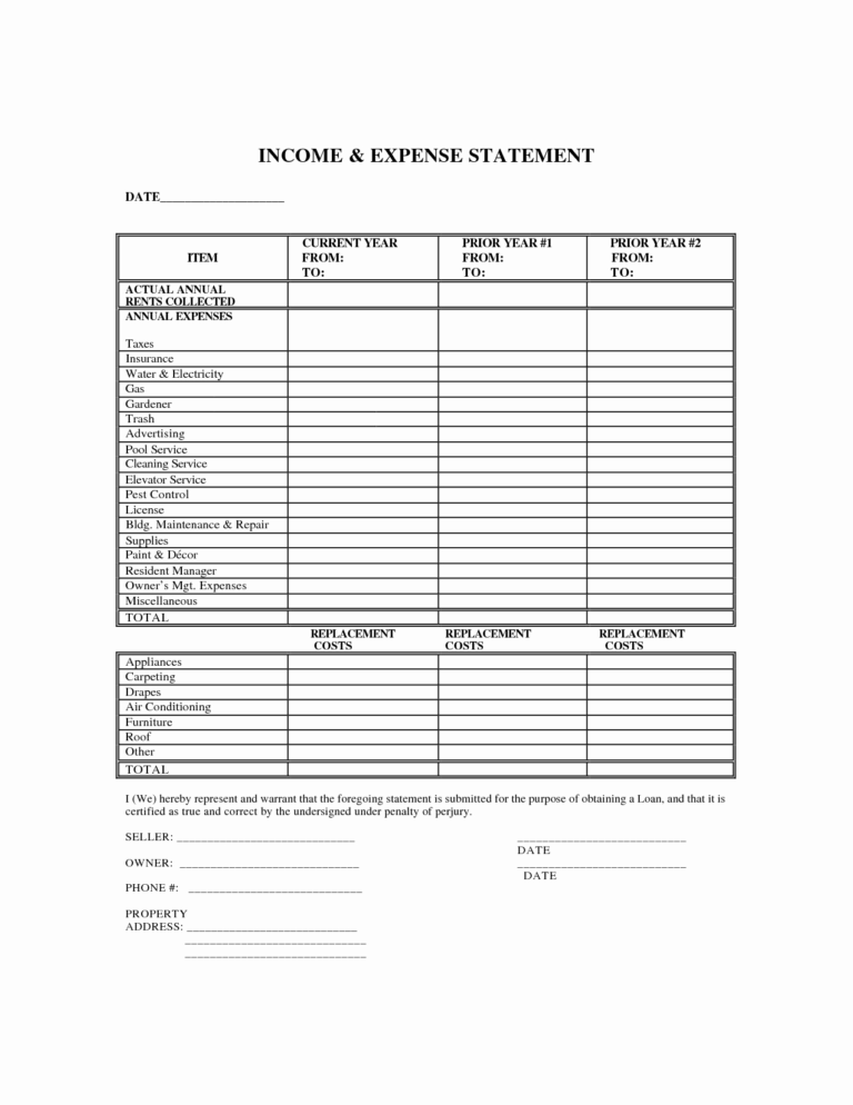 Income And Expense Statement Excel New Blank In E Statement Template ...