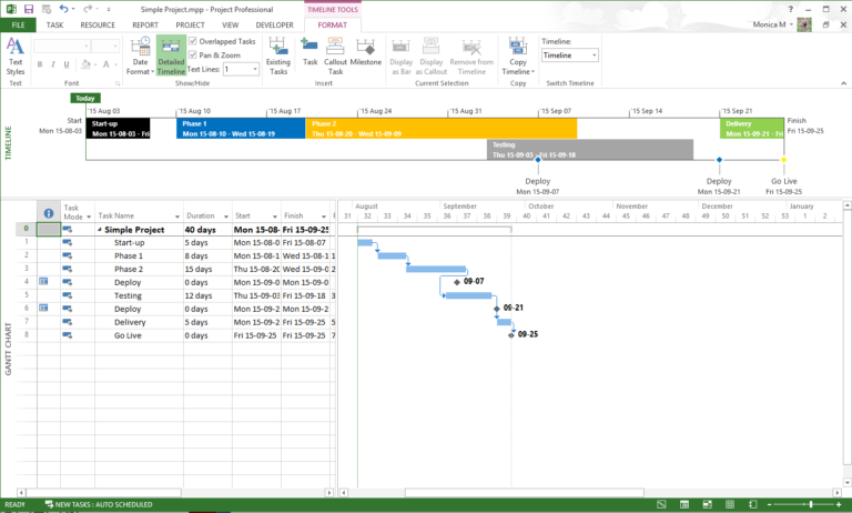 Solutions For Presentation-Worthy Gantt Charts And Project Timelines ...