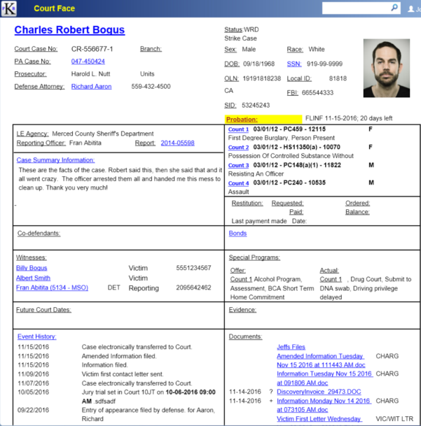 Attorney Case Management Spreadsheet for Electronic Docket ...