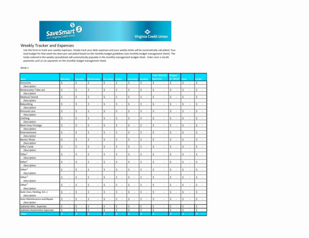Beauty Salon Budget Spreadsheet in Personal Daily Expense Sheet Excel ...