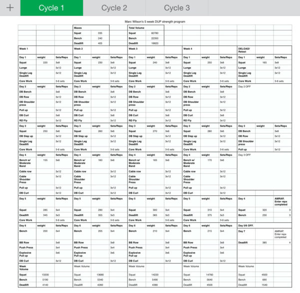 Bodybuilding Excel Spreadsheet throughout Bodybuilding Excel ...