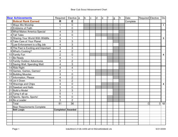 Boy Scout Merit Badge Tracking Spreadsheet — db-excel.com