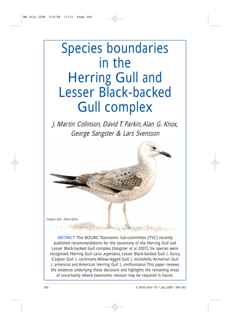 British Bird List Spreadsheet intended for Pdf Species Boundaries In ...