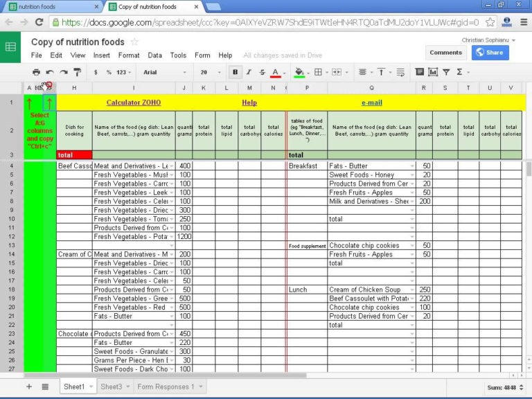 Calorie Counter Excel Spreadsheet Free Download Throughout Calorie 