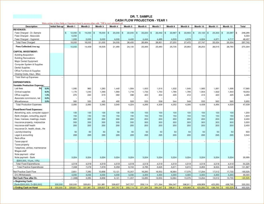 12 Month Cash Flow Projection Template Excel Free