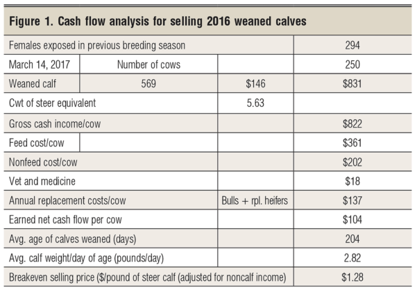 Cattle Budget Spreadsheet inside Example Of Cattle Budget Spreadsheet ...