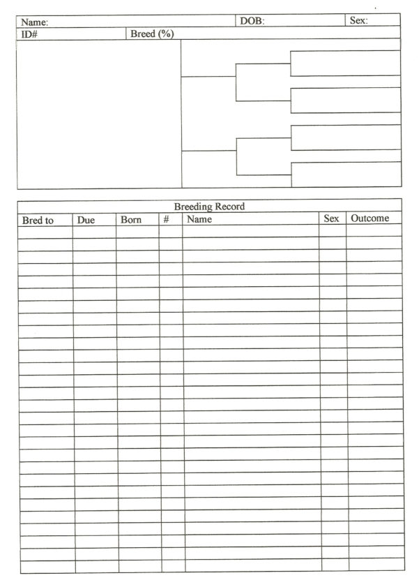 Cattle Herd Management Spreadsheet — db-excel.com