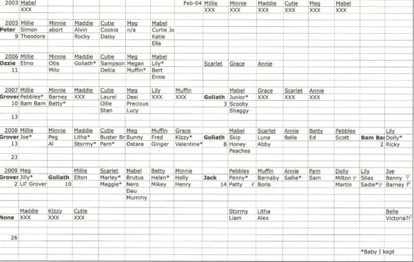Cattle Herd Management Spreadsheet — db-excel.com