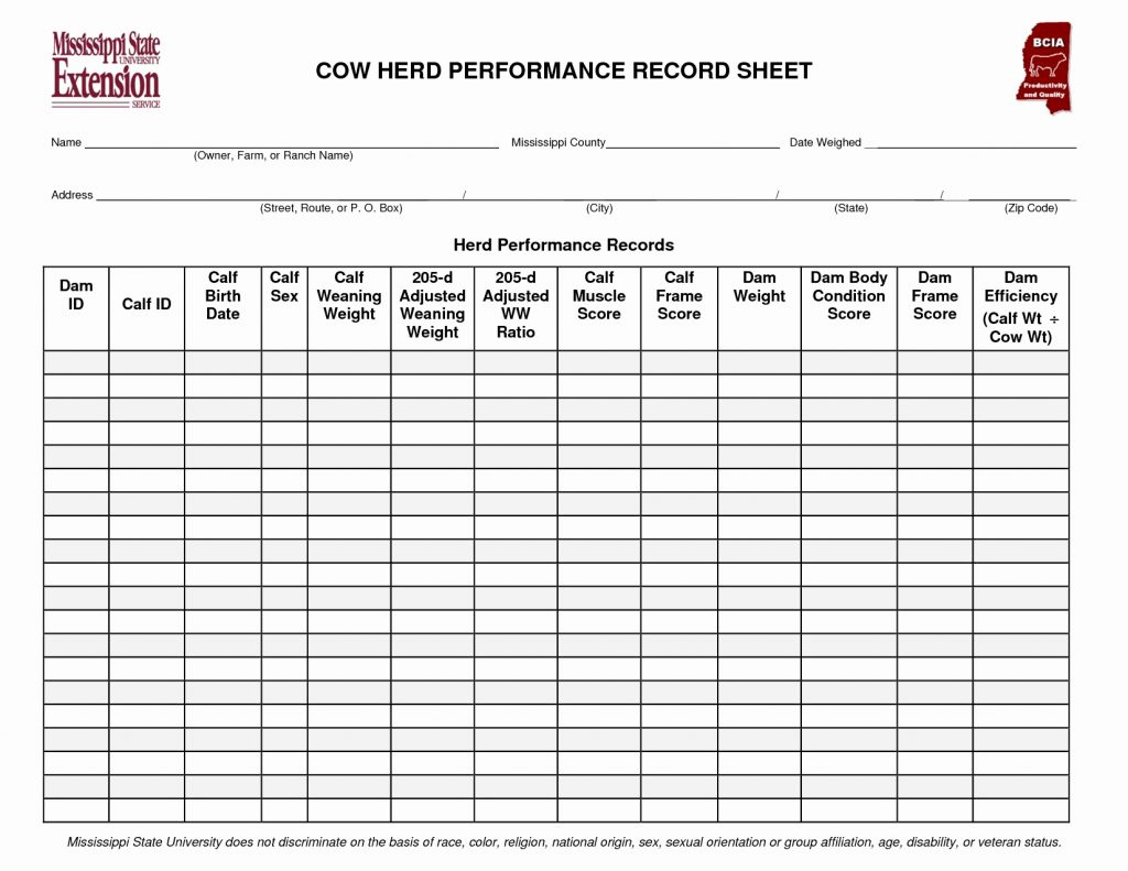 Cattle Tracking Spreadsheet Throughout Cattle Inventory Spreadsheet Cow 