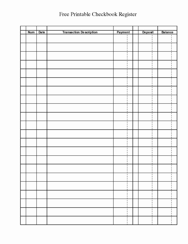 Checkbook Register Spreadsheet Excel Within Excel Checkbook Register Template Spreadsheet