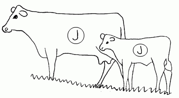 Cow Calf Budget Spreadsheet inside Circle J Ranches Cow/calf Budget ...