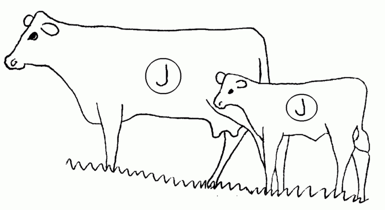 Cow Calf Budget Spreadsheet inside Circle J Ranches Cow/calf Budget ...