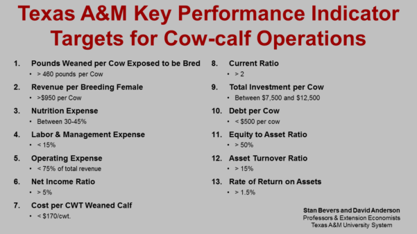 Cow Calf Budget Spreadsheet inside Improving Beef Herd Efficiency ...