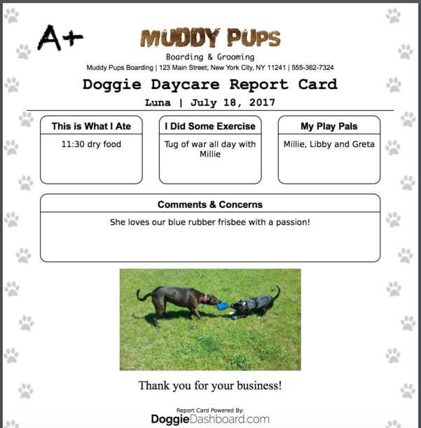 Dog Walking Excel Spreadsheet for Doggiedashboard Free Dog Daycare ...
