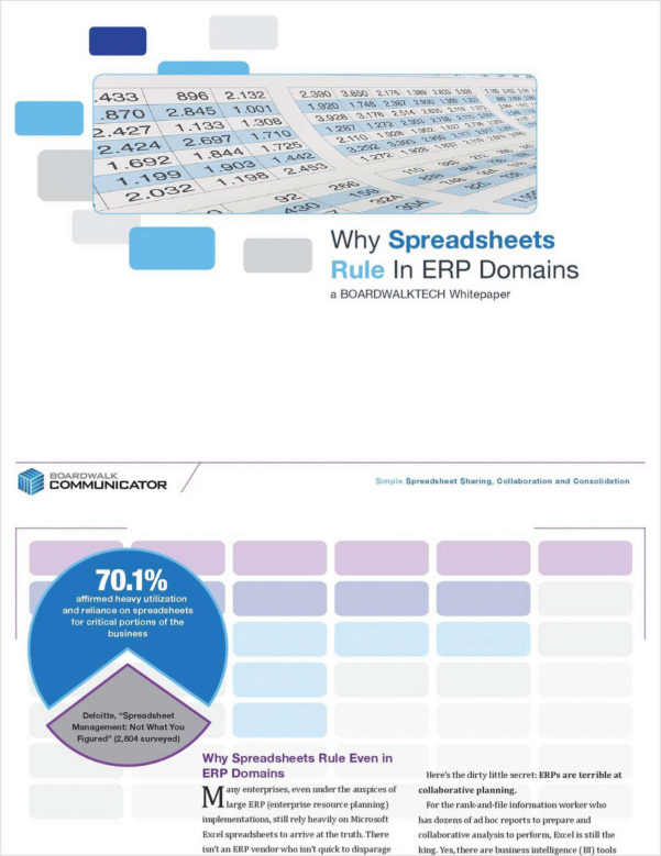 Erp Spreadsheet with regard to Why Do Spreadsheets Rule Even In Erp Environments?, Free — db ...
