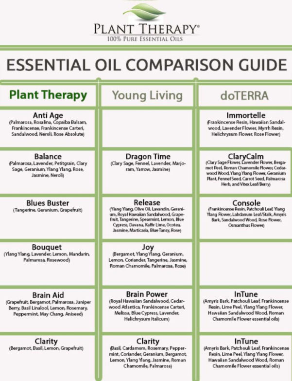 Essential Oil Inventory Spreadsheet throughout New Car Comparison ...