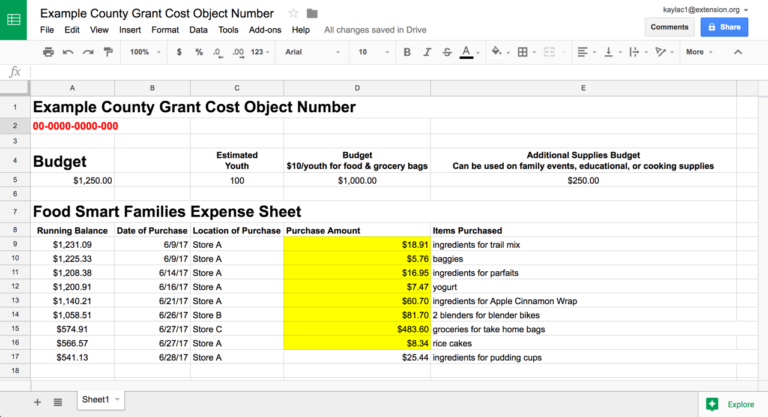 Expenses Spreadsheet Google Sheets with Utilizing Google Sheets To Help Manage Grant Budgets And ...