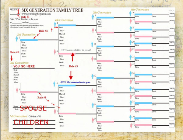 Family Tree Spreadsheet Free with regard to Family Tree Template — db ...