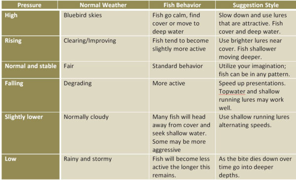Fishing Log Spreadsheet regarding Bass Fishing Cheat Sheets Fishing ...