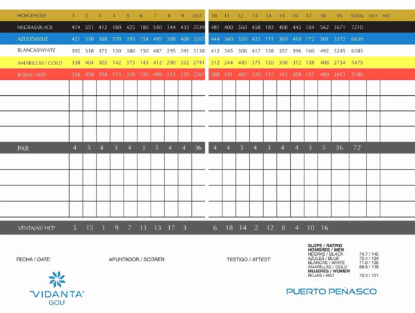 Golf Spreadsheet Template pertaining to Example Of Golf Stat Tracker ...