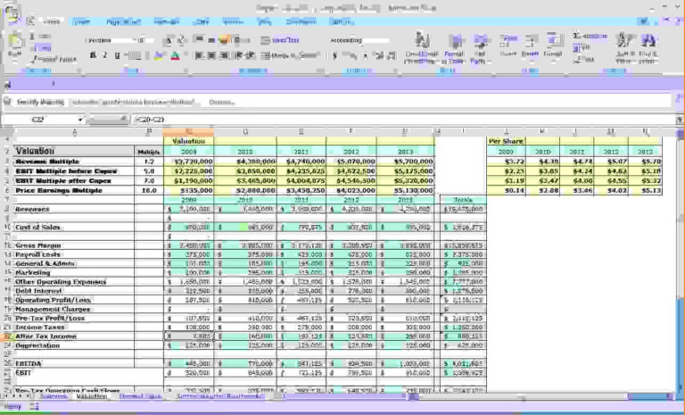 Hotel Forecasting Spreadsheet inside Business Plan Budget Template Free ...