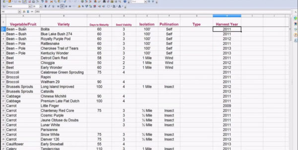 How To Make An Inventory Spreadsheet On Excel Google Spreadshee how to ...