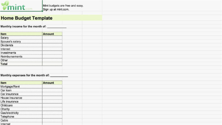 Mint Spreadsheet with Free Budget Template Excel Gallery Making A Bud ...