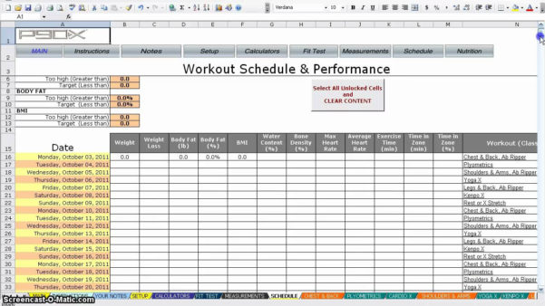 P90X Excel Spreadsheet for P90X Insanity Hybrid Excel Spreadsheet ...