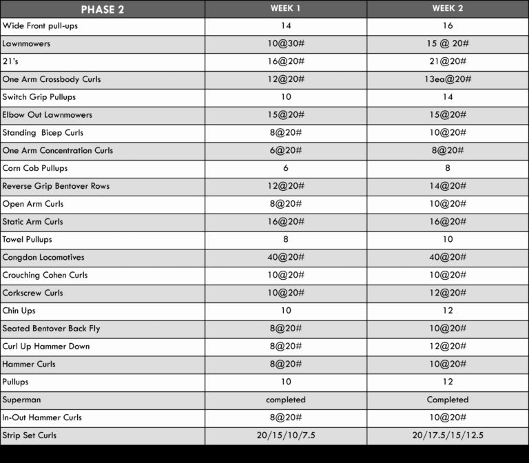 P90X Spreadsheet in P90 X Spreadsheet Awesome P90X Workout Log Sheets ...