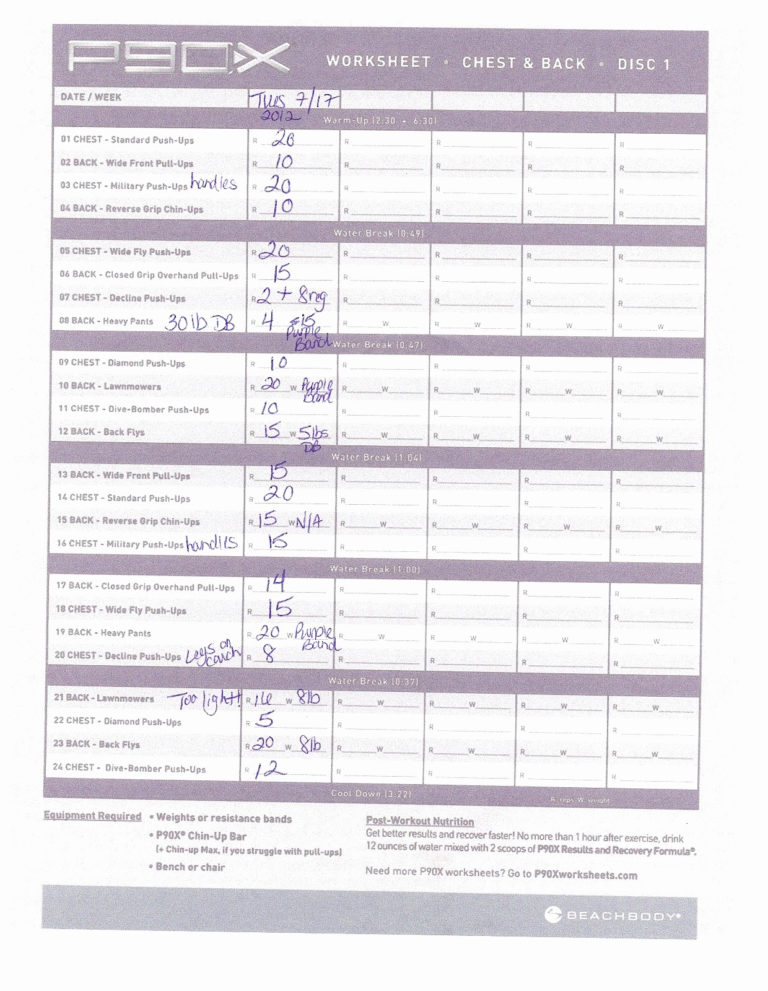 P90X Spreadsheet in P90X Worksheets Chest And Back Austinroofing — db ...