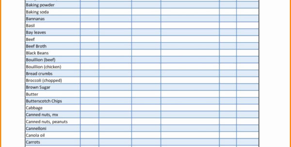 Pantry Inventory Spreadsheet Google Spreadshee pantry inventory ...