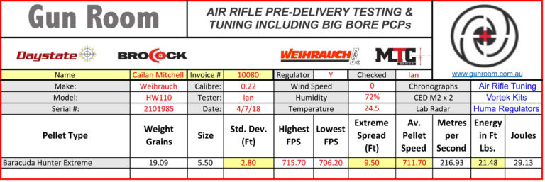 Pcp Excel Spreadsheet in Air Rifle Testing Of New Spring And Pcp Air ...