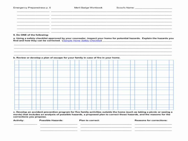 Personal Management Merit Badge Excel Spreadsheet in Boy Scout Budget ...