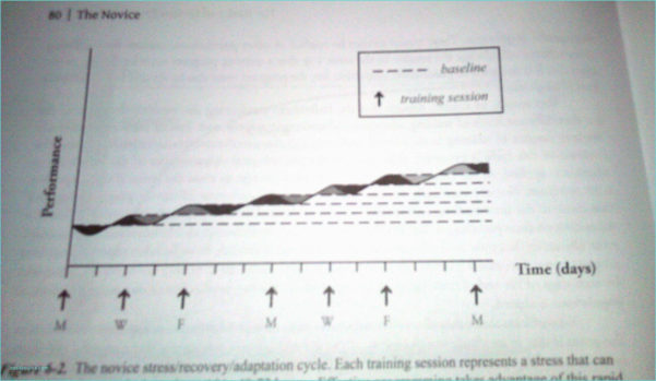 Renaissance Diet Spreadsheet Free inside 43 Renaissance Periodization ...