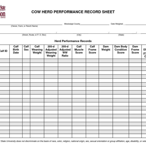 Sheep Record Keeping Spreadsheet within Farm Record Keeping ...