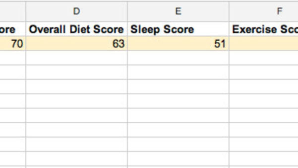 Sleep Tracking Spreadsheet Google Spreadshee sleep tracking spreadsheet.