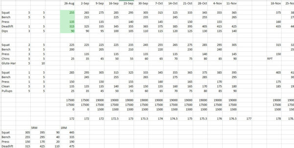 Sleep Tracking Spreadsheet with I'm Building A Fitness Application To ...