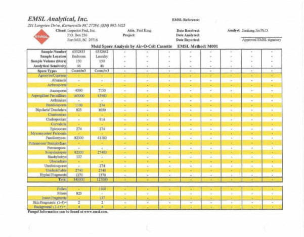 Spreadsheet Expert for Expert Witness Report Template And Expert ...