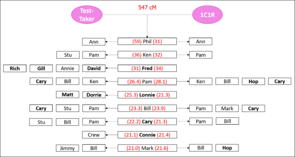 Spreadsheet For Ancestry Dna Matches in Clustering Shared Matches The ...