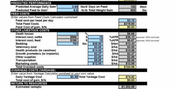 Spreadsheet For Cow Calf Operation Google Spreadshee spreadsheet for ...