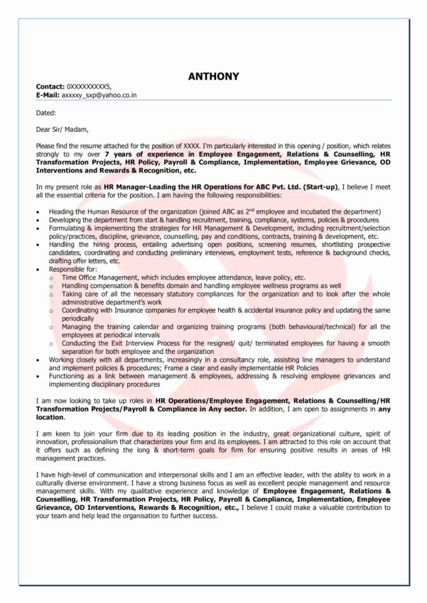 Spreadsheet Resume inside Spreadsheet Resume Template Google Drive ...