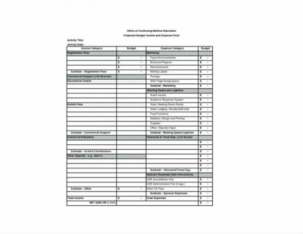 Summer Camp Budget Spreadsheet within Business Income Expense ...