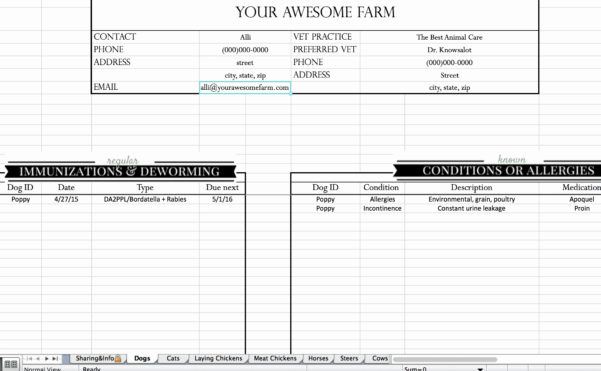 Town Hall 9 Upgrade Spreadsheet inside Town Hall 9 Upgrade Spreadsheet ...